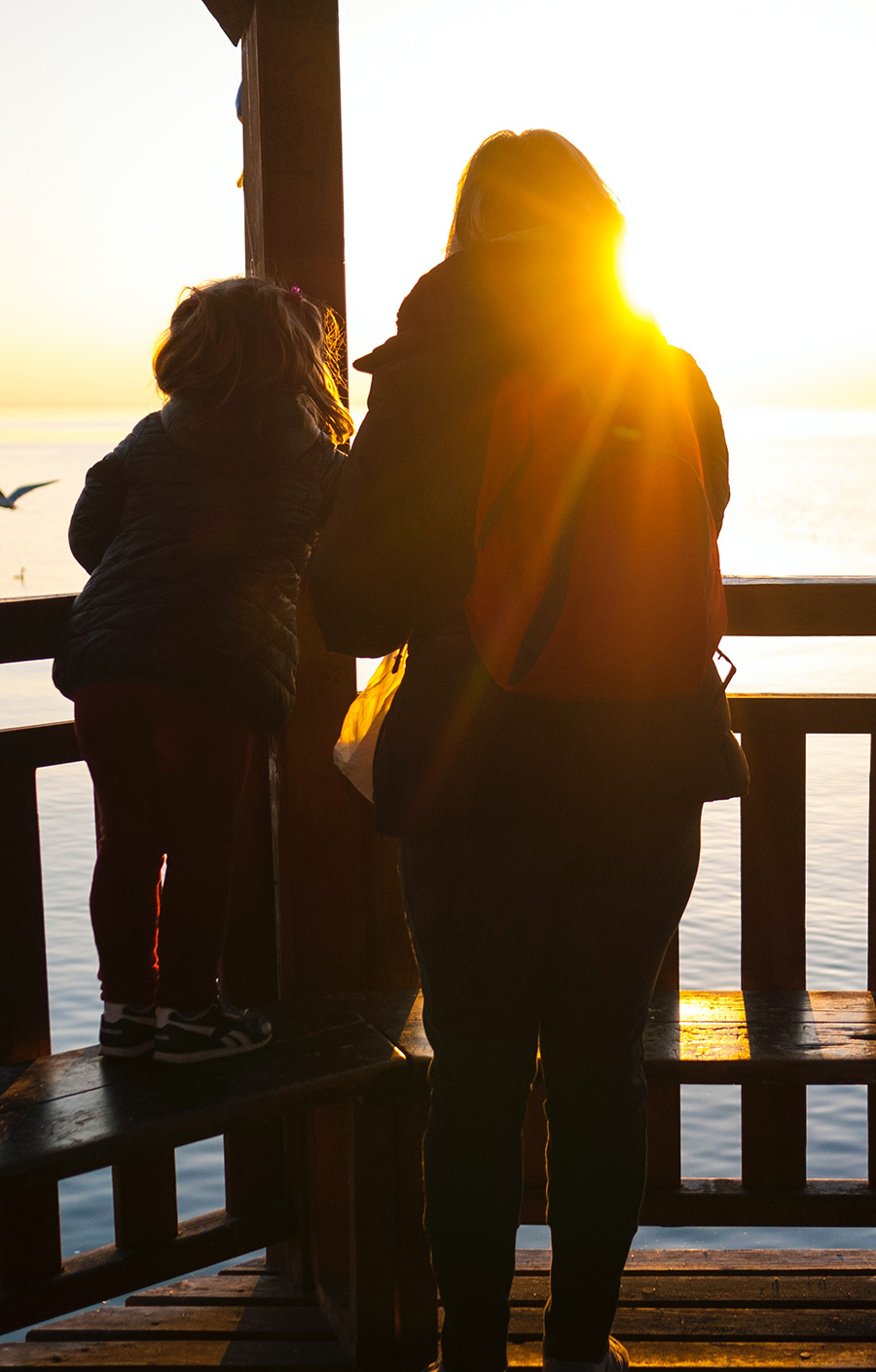 CAREER OPPORTUNITIES - Phoenix Rising For Children